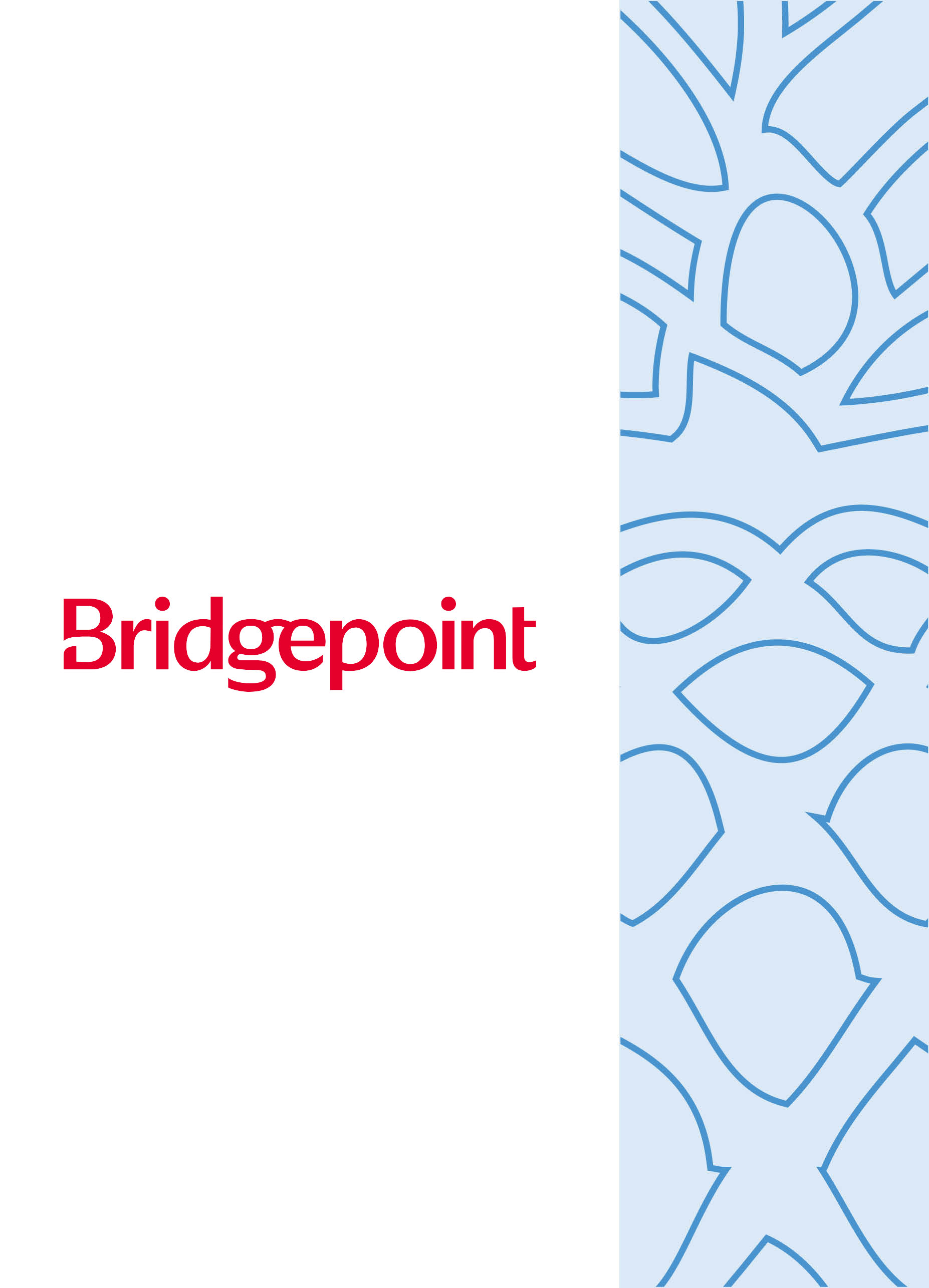 Bridgepoint adds $20bn infrastructure strategy, as ECP joins platform ...